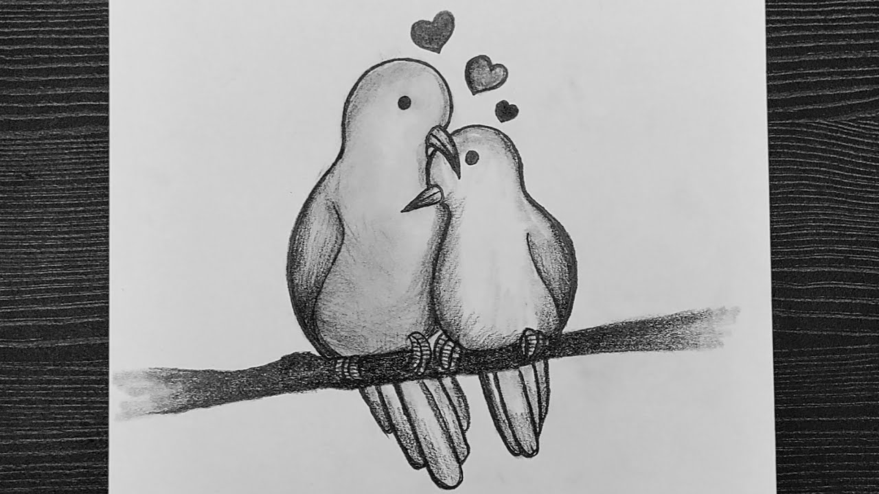How To Draw Love Birds Love Birds Drawing Easy Pencil Drawing