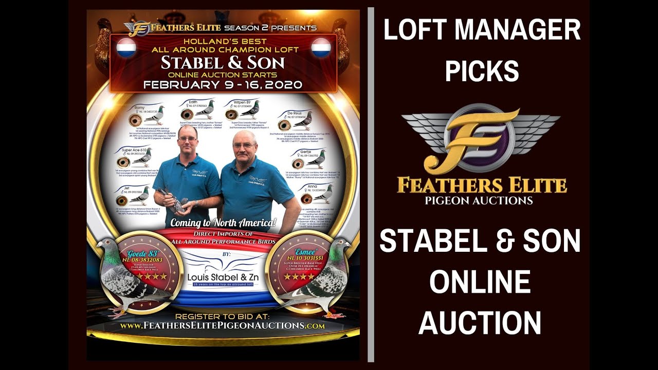 Stabel Son Auction Loft Manager Picks 2020 Youtube