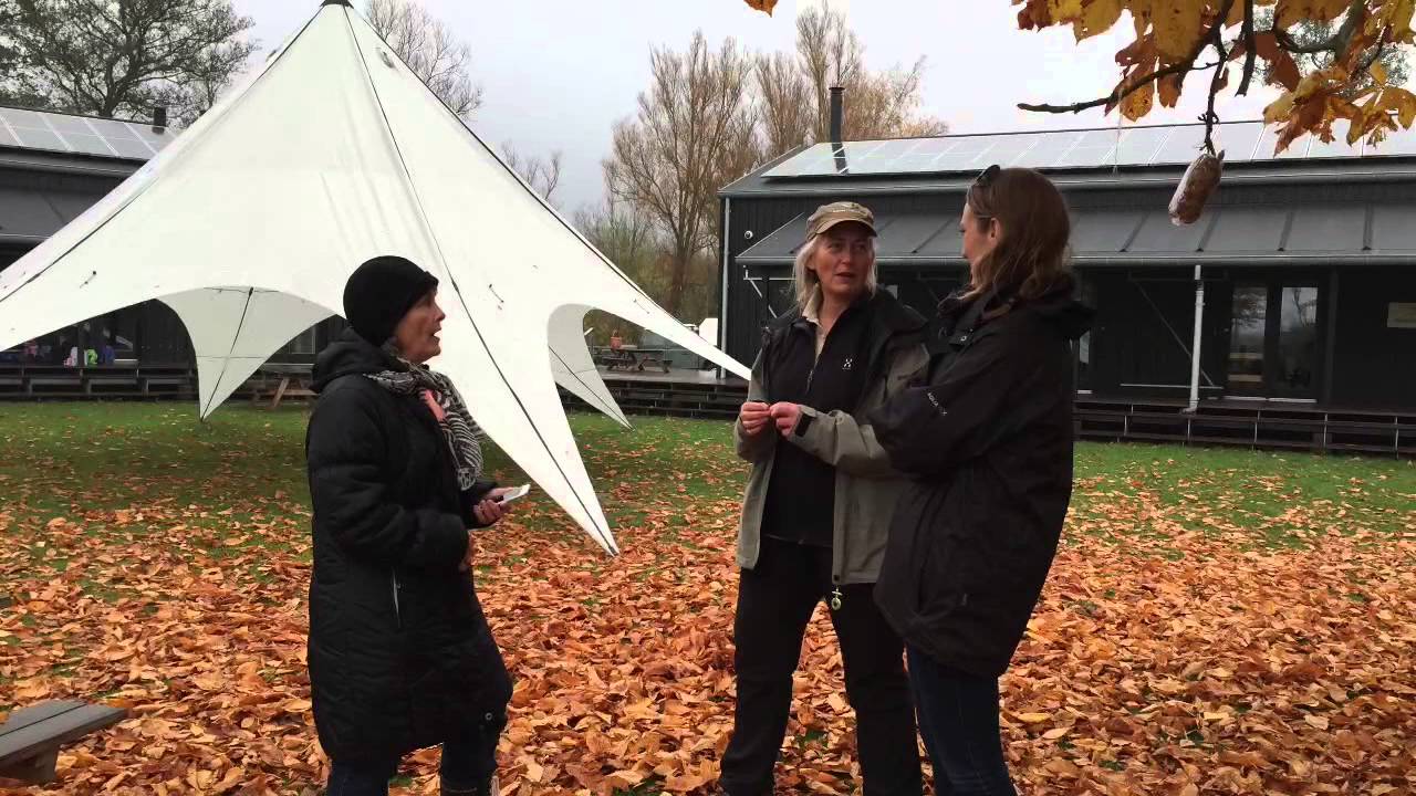 Teambuilding Youtube