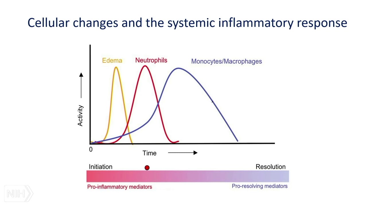 Boot Camp Biomarkers In Autoinflammation Youtube
