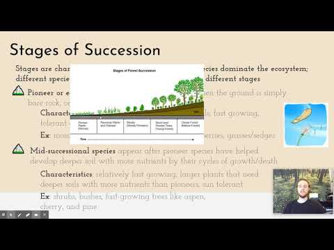 Apes Notes 2 7 Ecological Succession Youtube