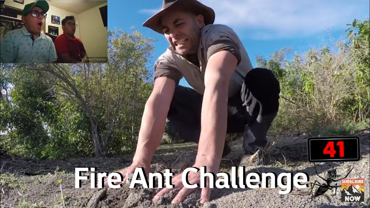 27 Reacting To Fire Ant Challenge Brave Wilderness Youtube