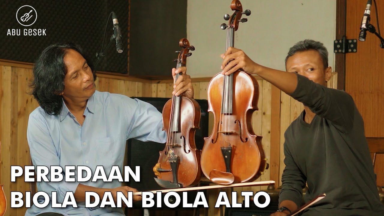 Perbedaan Biola Dan Biola Alto Youtube