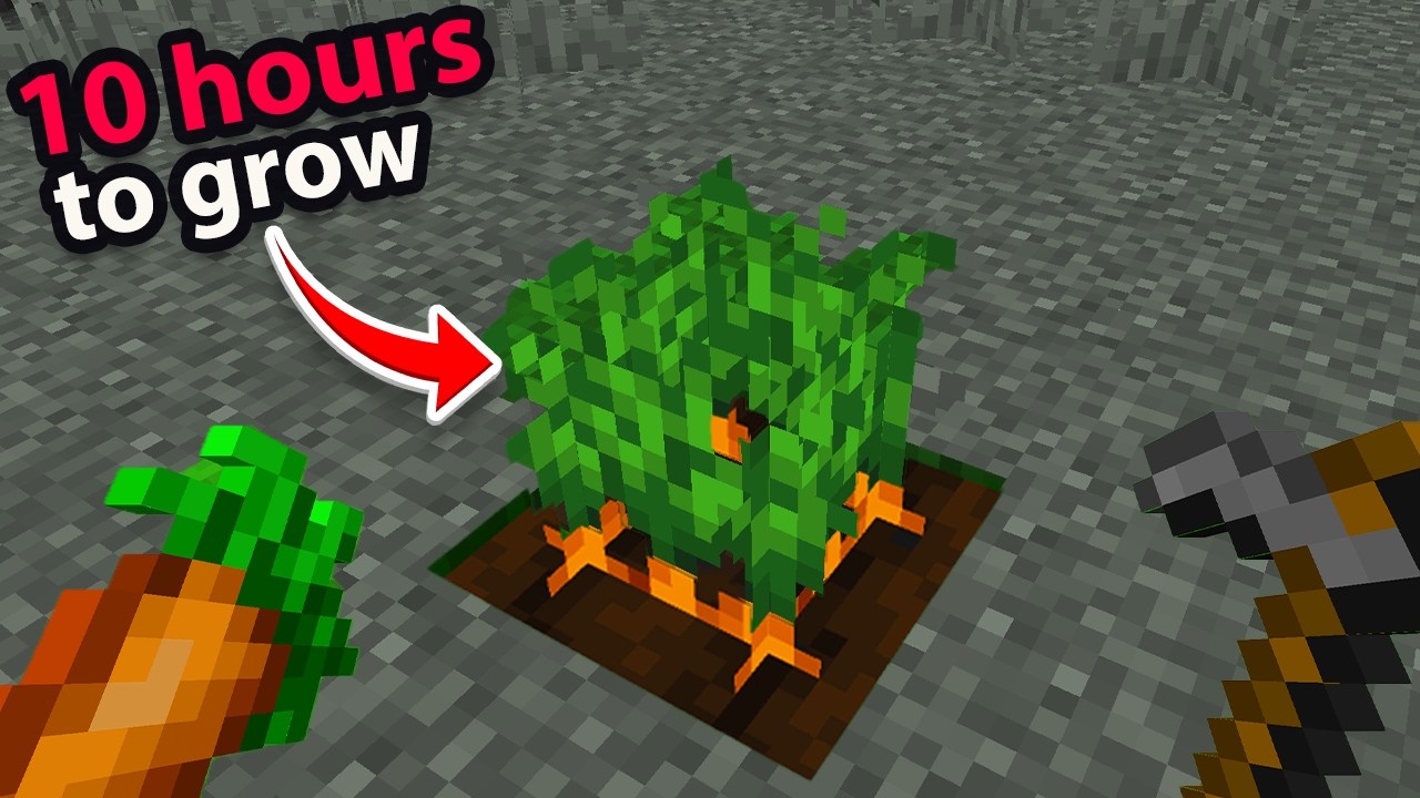 Can You Actually Beat China S Hardest Minecraft Mod Youtube