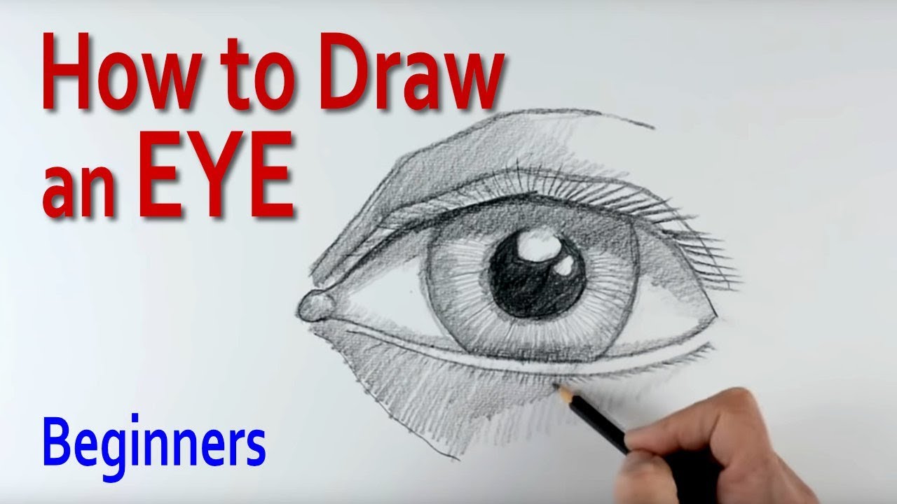 Human Eye Drawing Tutorial