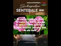 Sannere X Deejayzaca Sentebale New Hit Sesotho Matjhabeng Mp3 Music ...