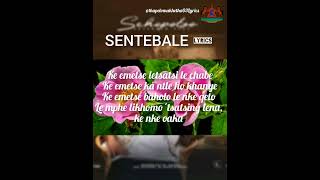 Sannere Sentebale Lyrics Thapelo Makhetha Mp3 Music & Mp4 video downloads