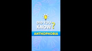 What Is Anthophobia Explained By Science Uprise Fear Of Flowers ...