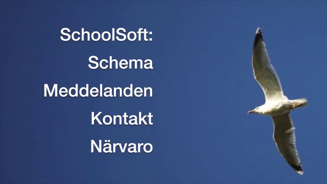 Föräldrainformation Schoolsoft Youtube