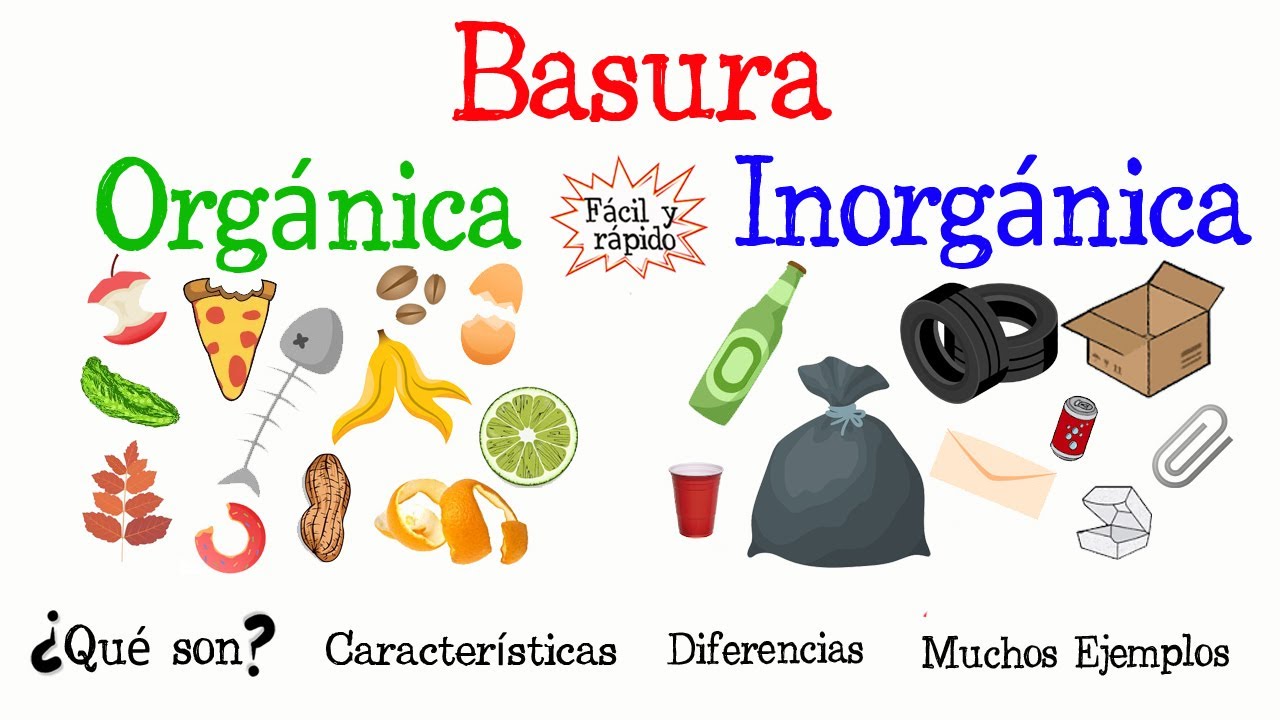 рџќћbasura Orgгўnica E Inorgгўnicaрџ ћ Fгўcil Y Rгўpido Biologгќa Youtube