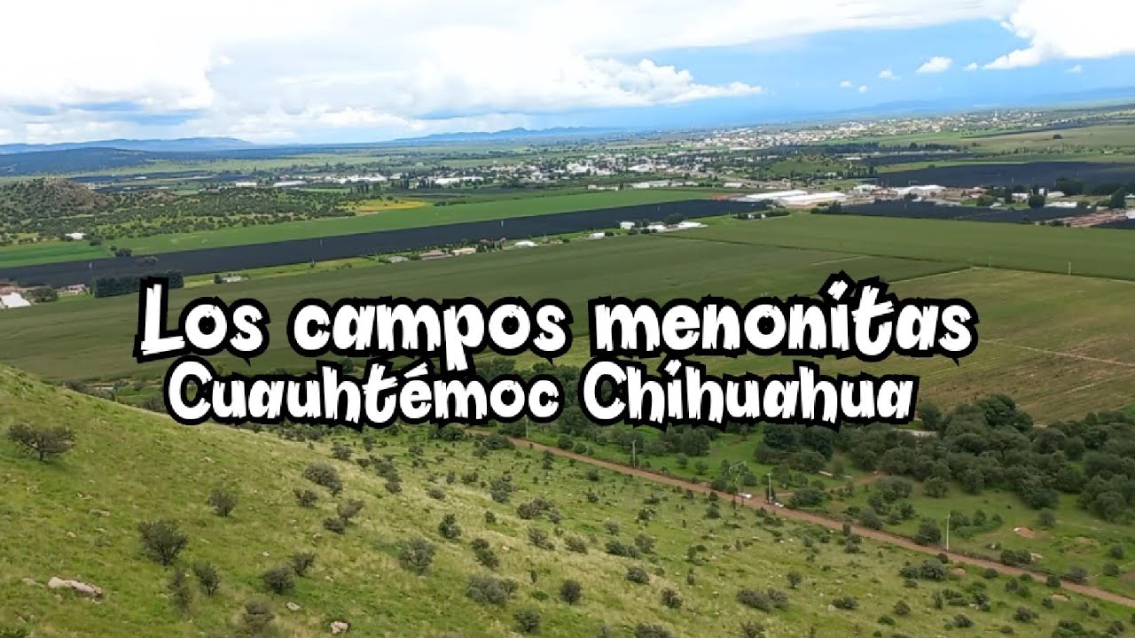 Los Campos Menonitas Cuauhtémoc Chihuahua Youtube