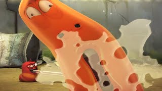 Larva Staring Contest Cartoons For Children Larva 2018 Larva