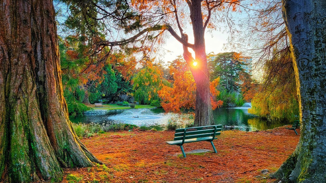 Relaxing Music With Beautiful Natural Landscapes Sounds Of Mountains