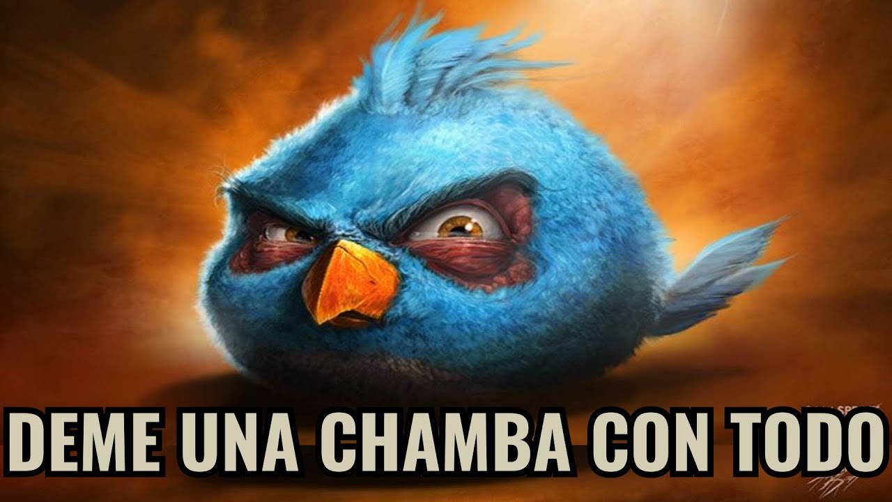 Shitposting Compilation 14 Memes Muy Random Xd Youtube