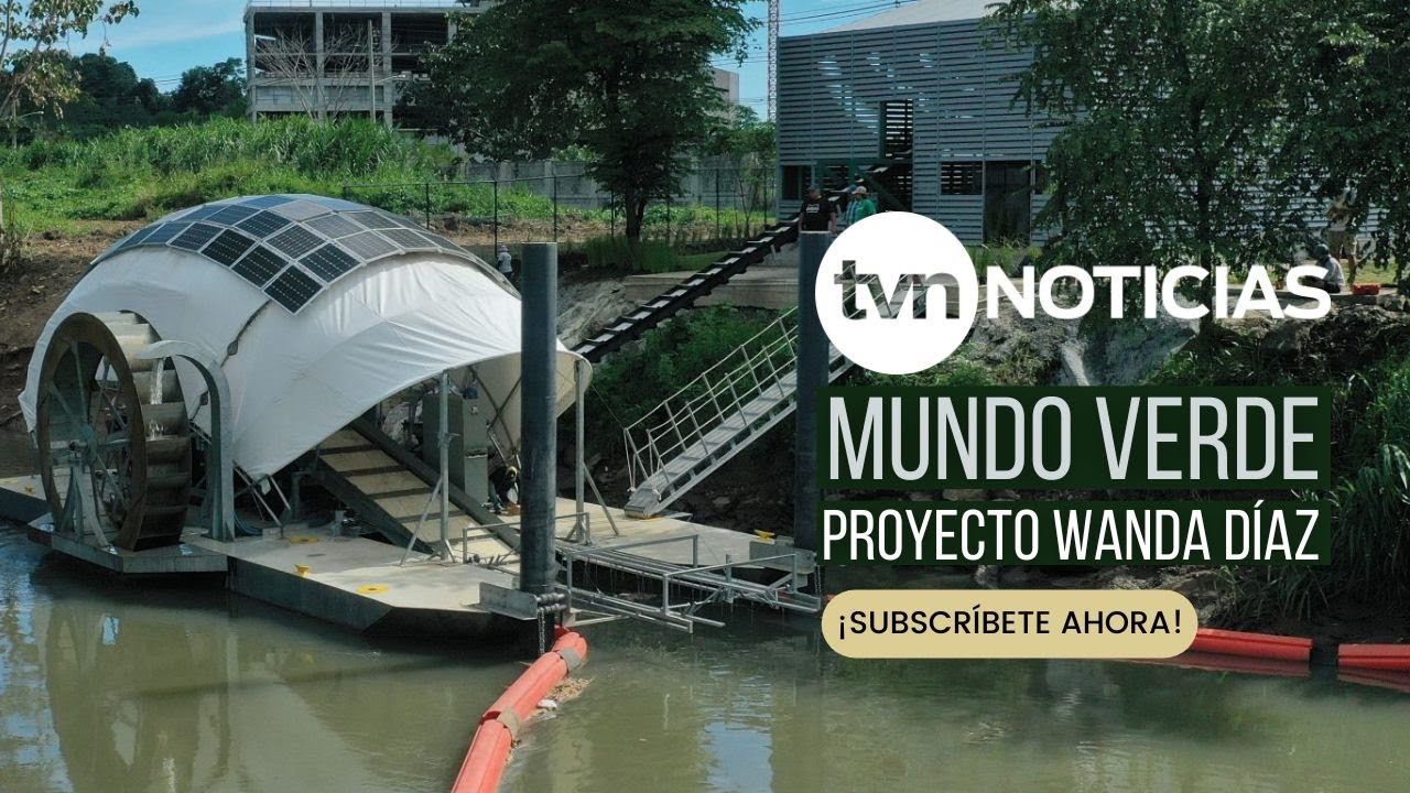 Mundo Verde Proyecto Wanda Díaz Youtube