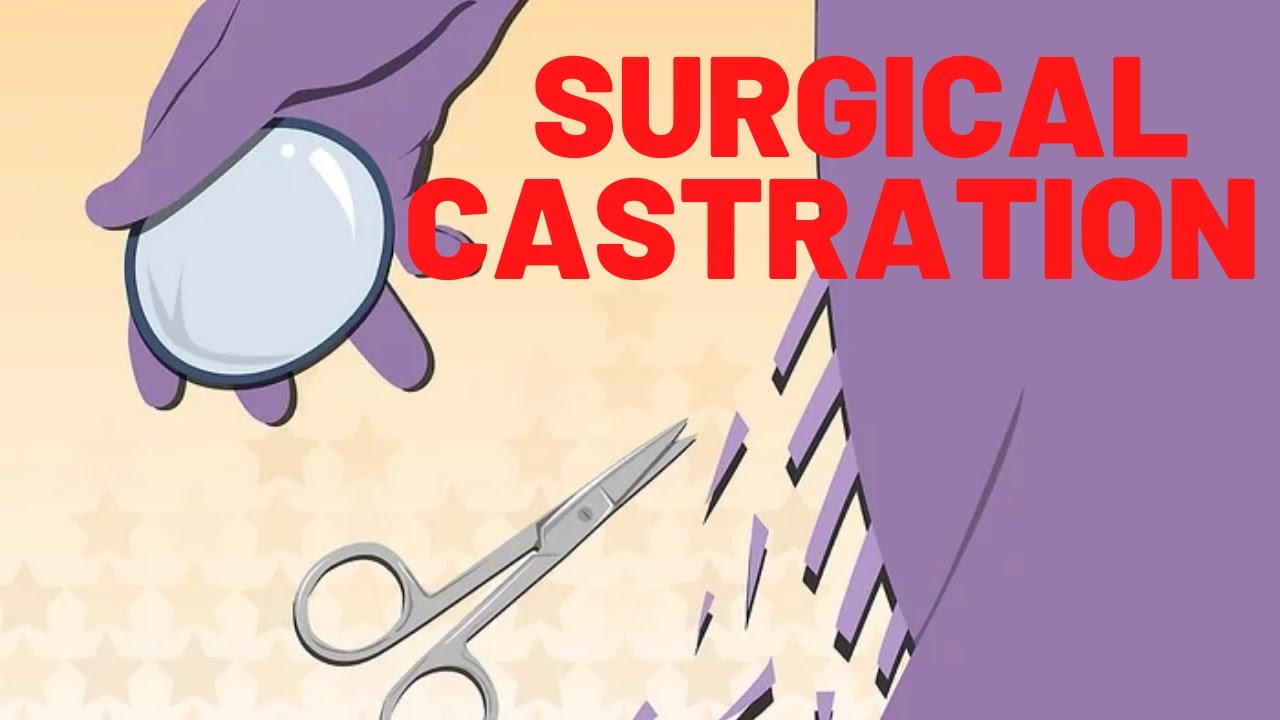 What Is Medical Castration At Judith Marion Blog