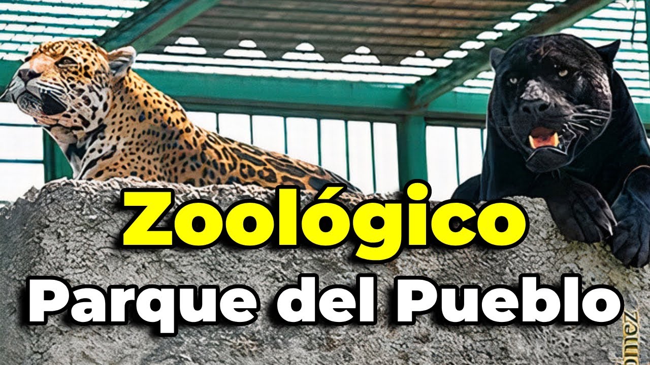 El Zoológio Más Bonito Del Edomex Zoológico Parque Del Pueblo Youtube