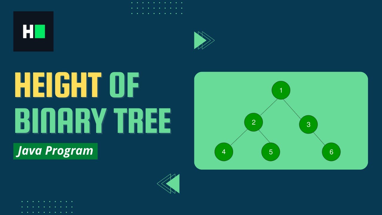 Height Of Binary Tree In Java Hackerrank Solution How To Find Height