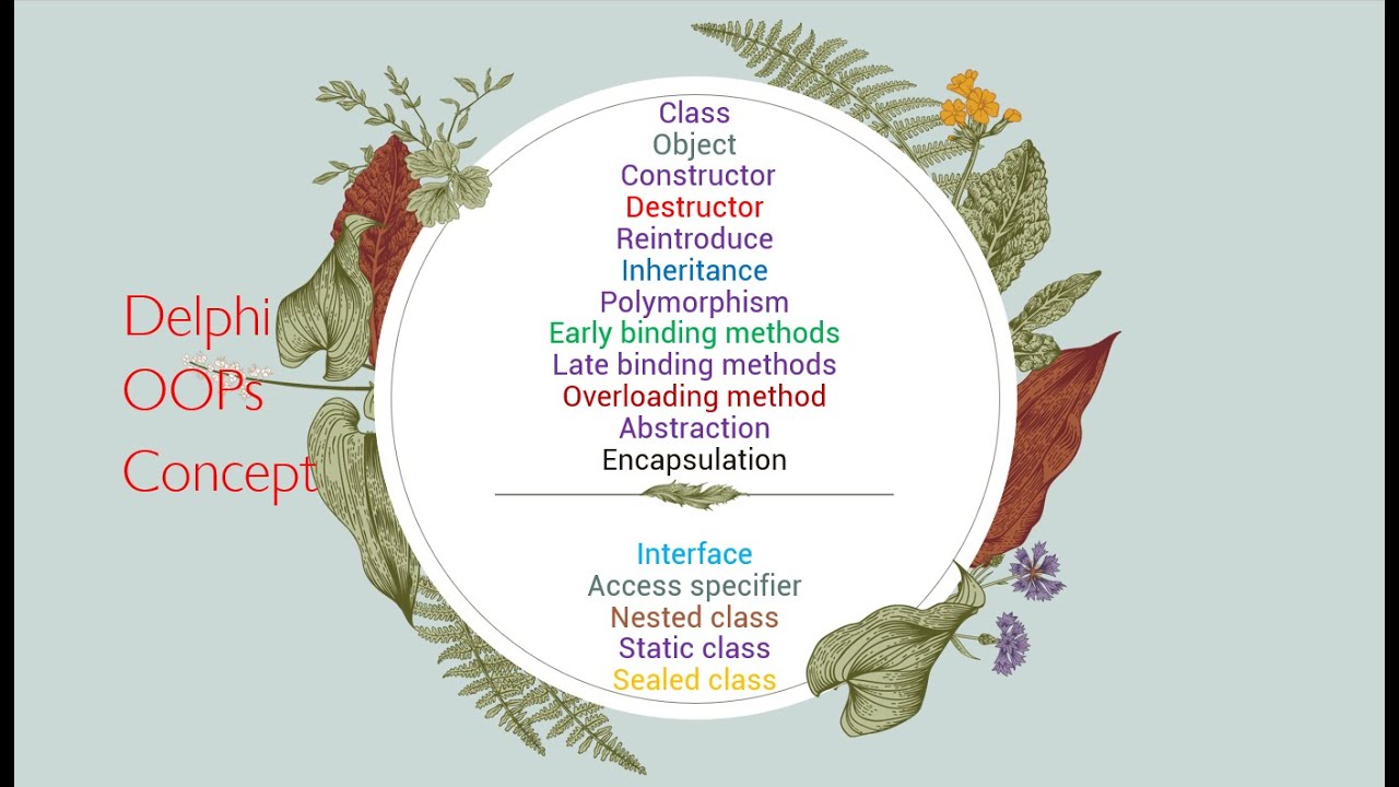 Full Object Oriented Programming Concept Oops Object Oriented