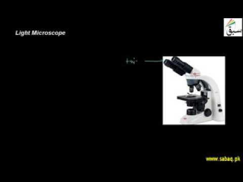 Introduction To Light Microscope Youtube