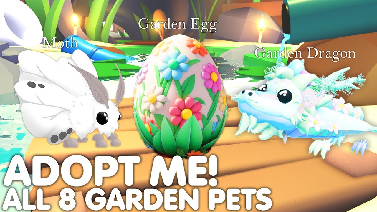 How To Grow Chickens For Eggs