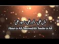 Dil Ali Dilbar Ali Sarwar Ali راہ نجف Sajjad Mohammadi Naat Official ...