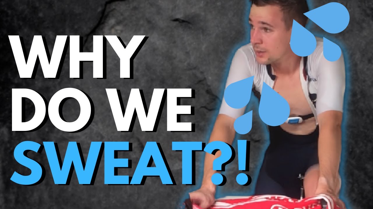 Why Do We Sweat During Exercise Training Racing Youtube
