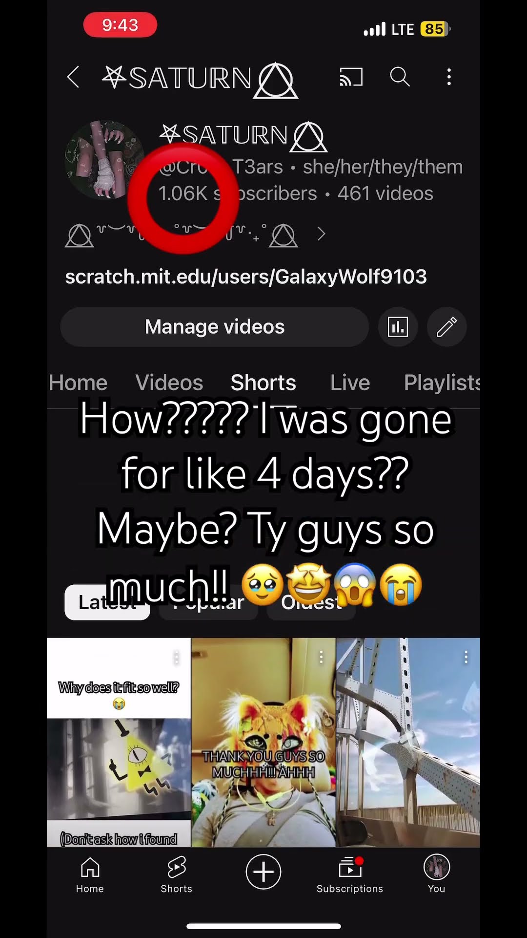 Howww I Mean Ty But How Furry Therian Antizoo How 1 6k