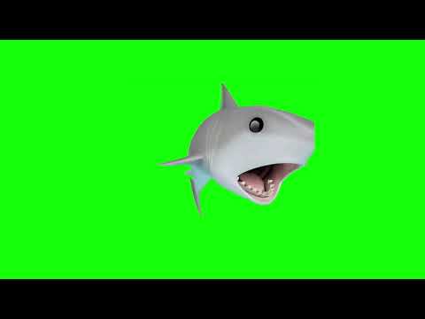 Shark Pog Video Gallery Know Your Meme
