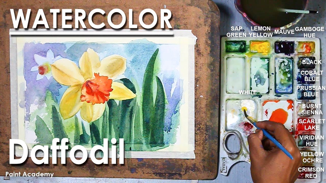 Watercolor Flower Painting Daffodils Youtube