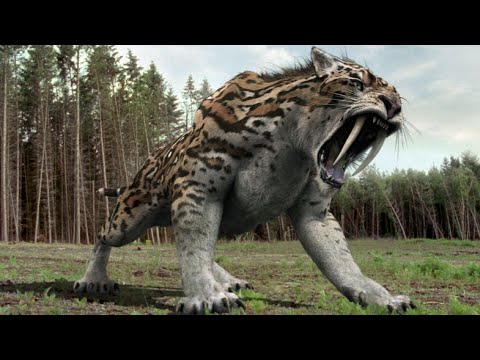 Top 10 Most Amazing Extinct Animals Youtube