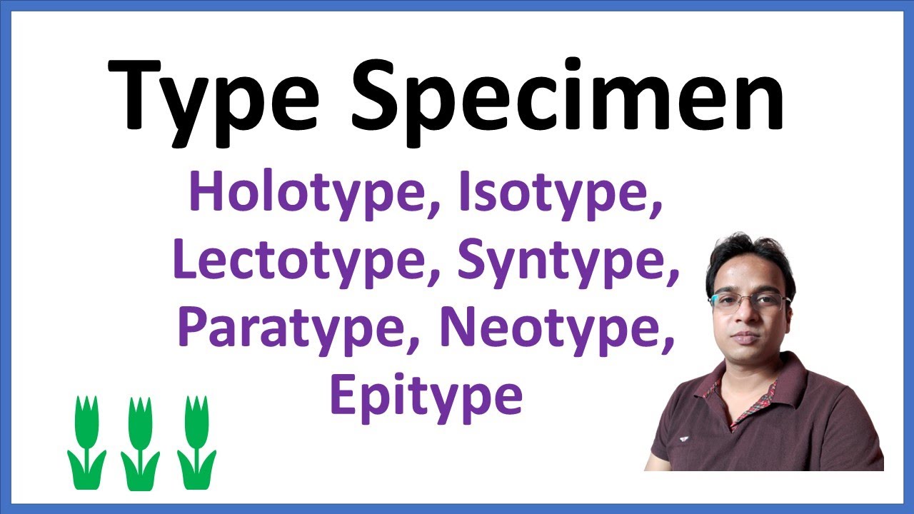 Type Specimen Nomenclature Type Typification In Botany Youtube