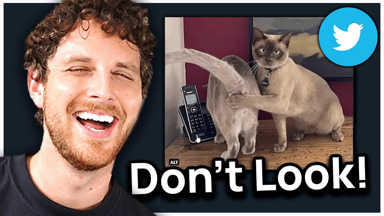 These Tweets Are Funny Youtube