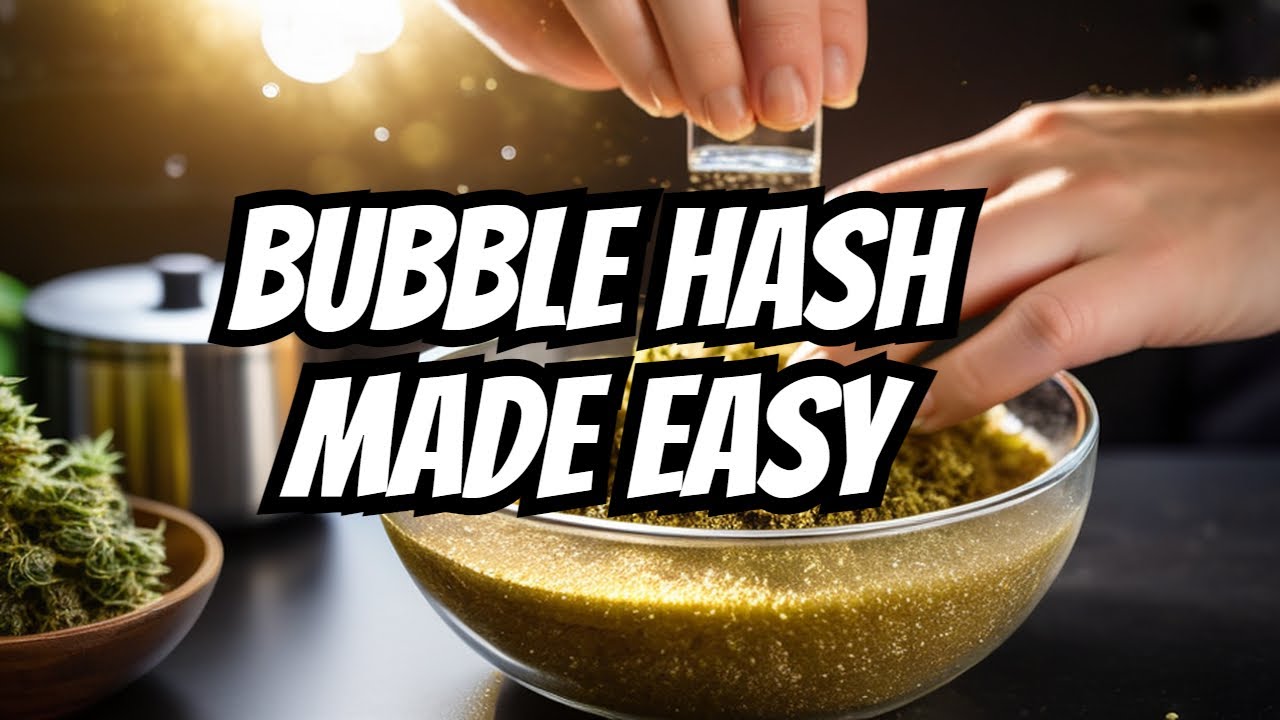 Easy Bubble Hash Recipe Tutorial Step By Step Guide Youtube