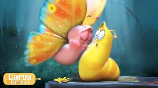 Larva Sausage Animation Compilation Larva Tuba Official Videos