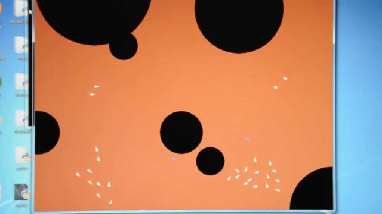 Boids Flocking Python Youtube