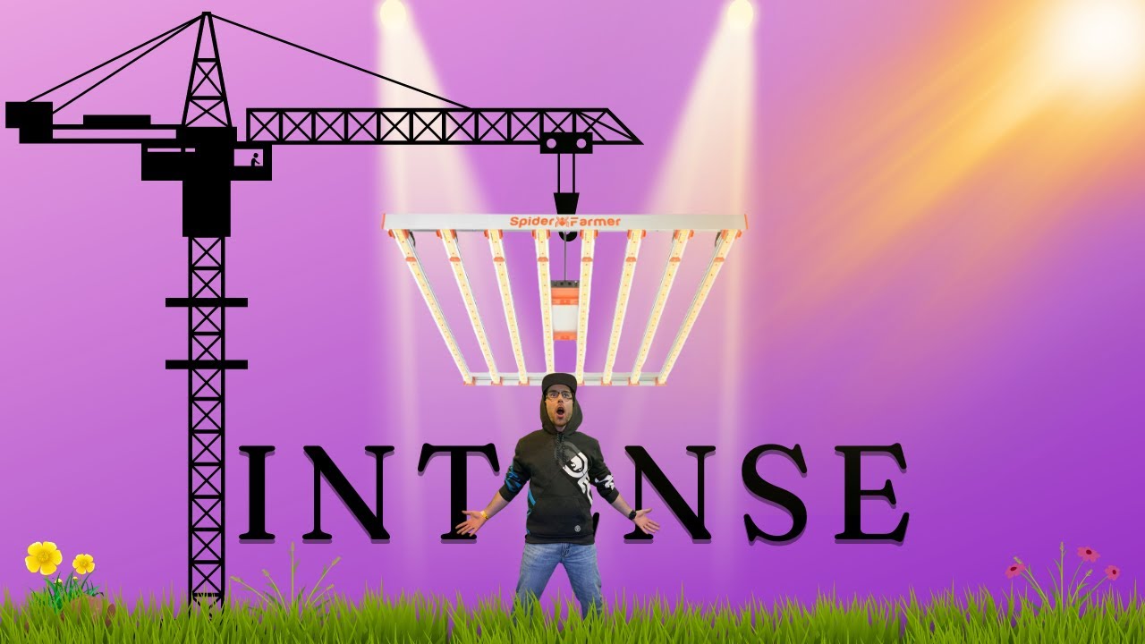 Understanding Lights And Deficiencies Youtube