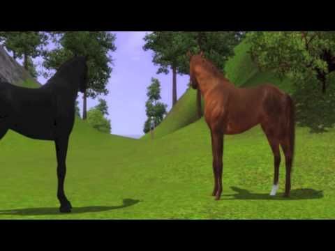 Black Beauty And Ginger Youtube