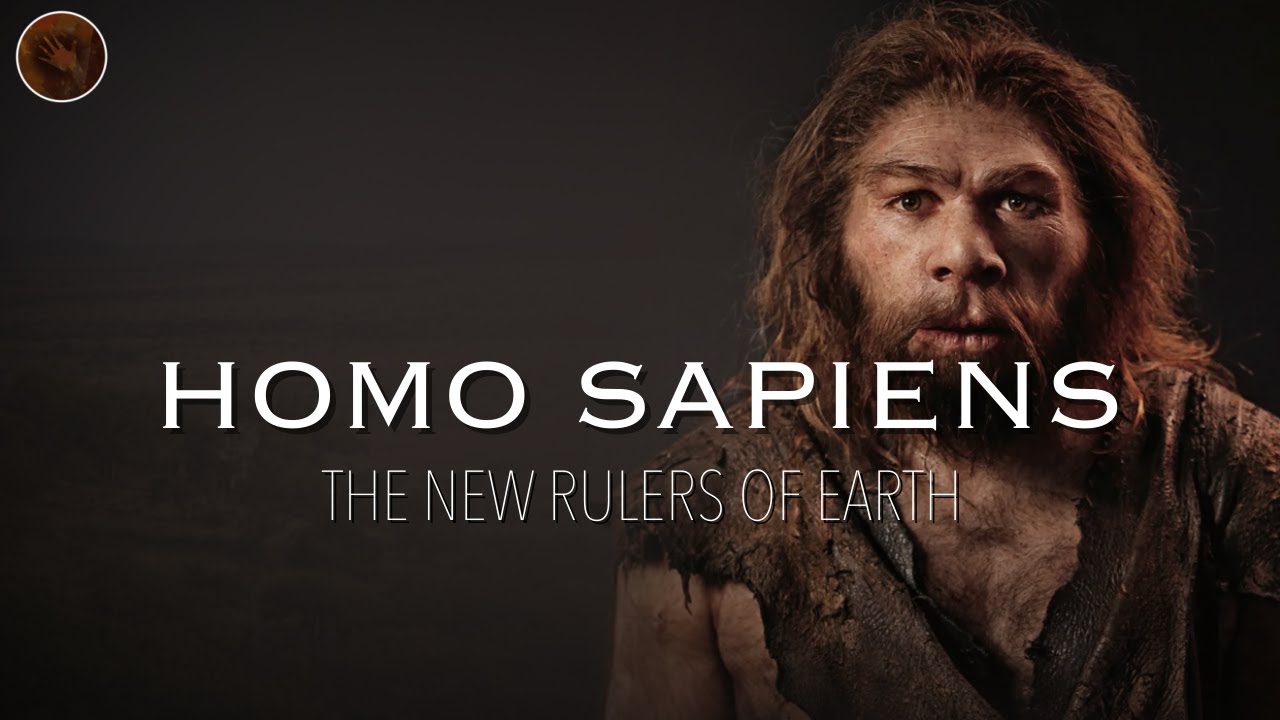Homo Sapiens Sapiens Pictures