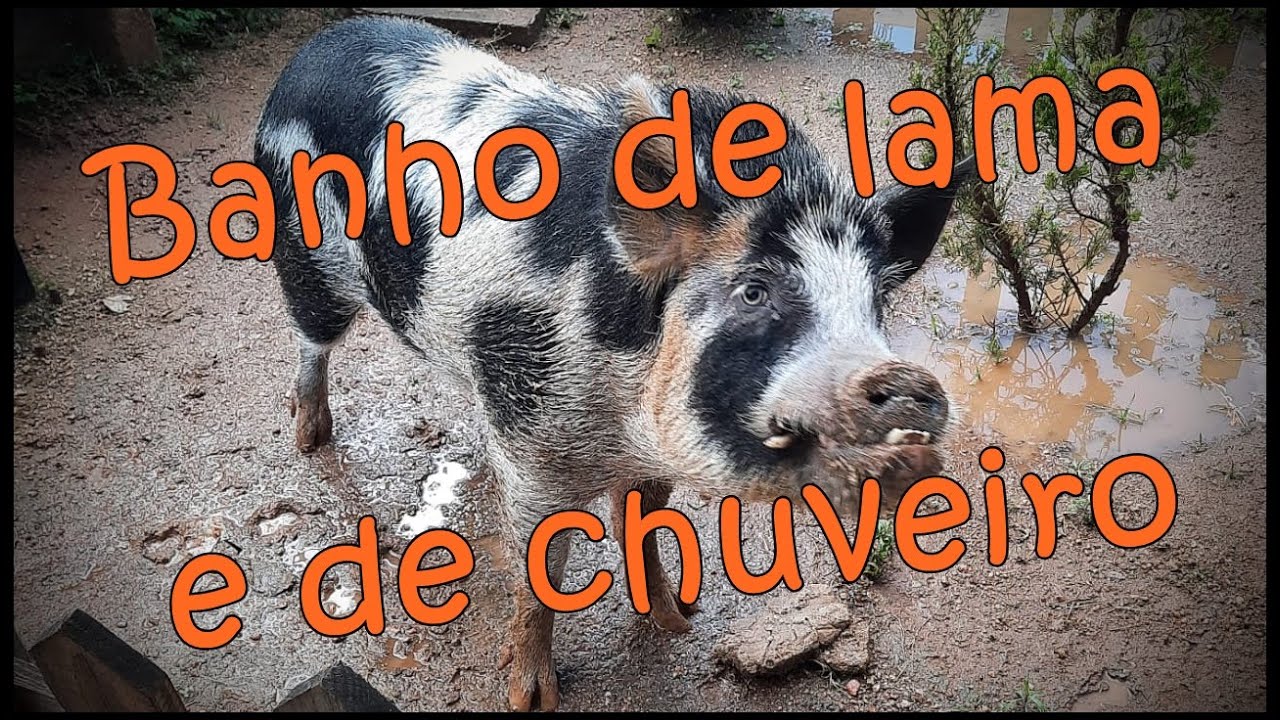Tomando Banho De Lama E De Chuveiro Youtube