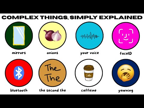 Simply Explaining Complex Things You Always Wondered Transcript Chat