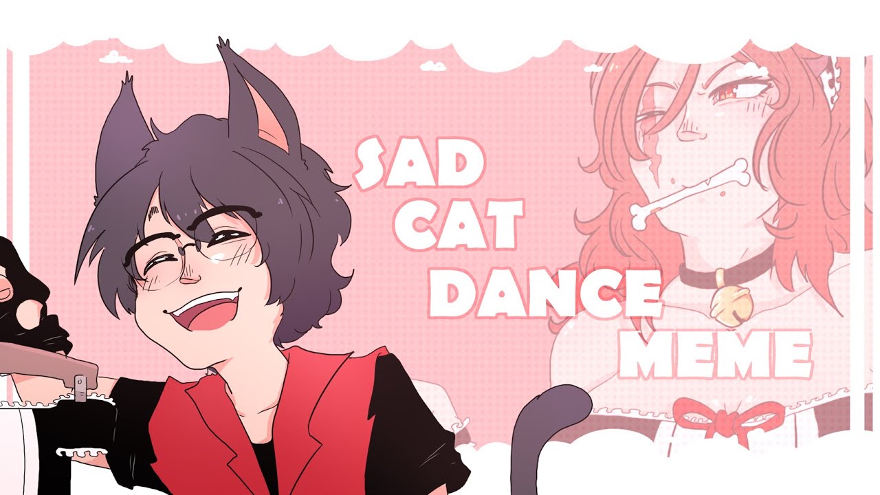 Sad Cat Dance Youtube