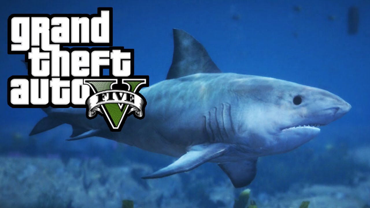 Gta 5 Play As A Shark Killer Whale Dolphin How To Peyote