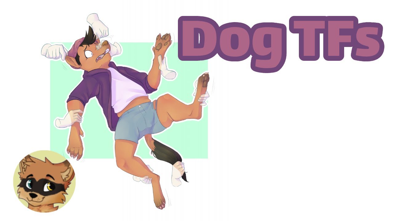 Dog Transformation Dog Tf Youtube