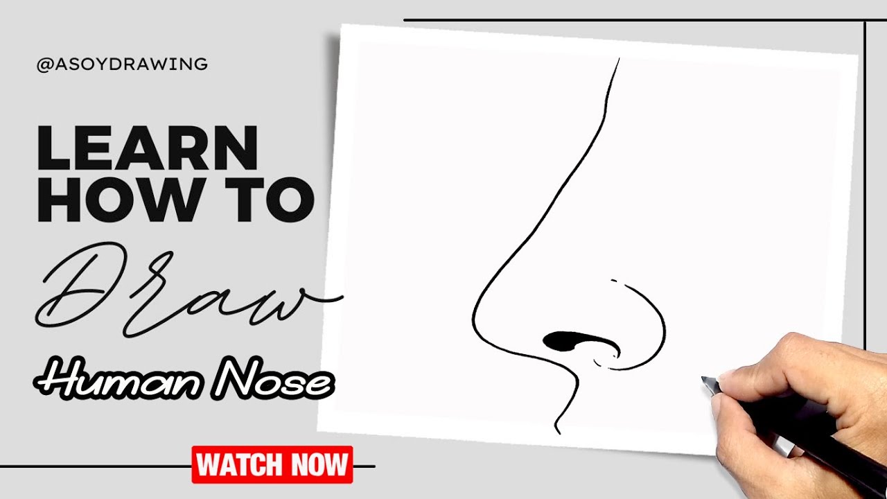 How To Draw Human Noses