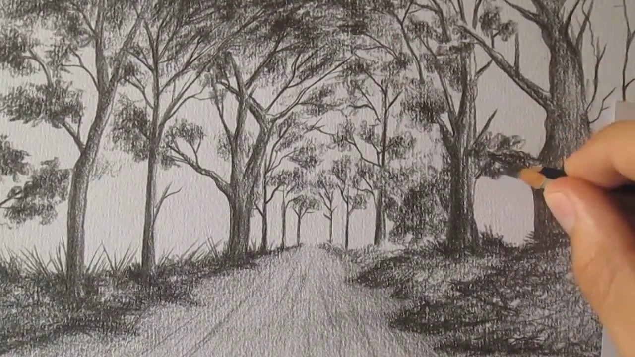 Landscape Pencil Drawing Step By Step At Matthew Calzada Blog
