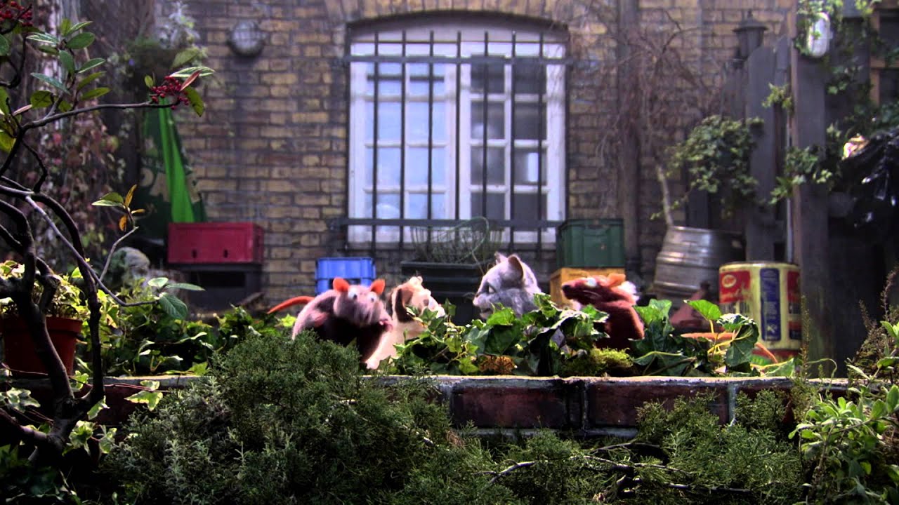 Springwatch Youtube