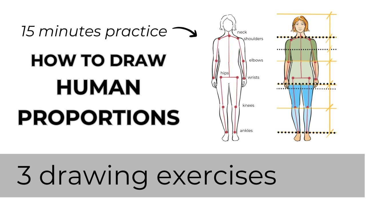 Drawing Human Proportions Step By Step Practice Youtube