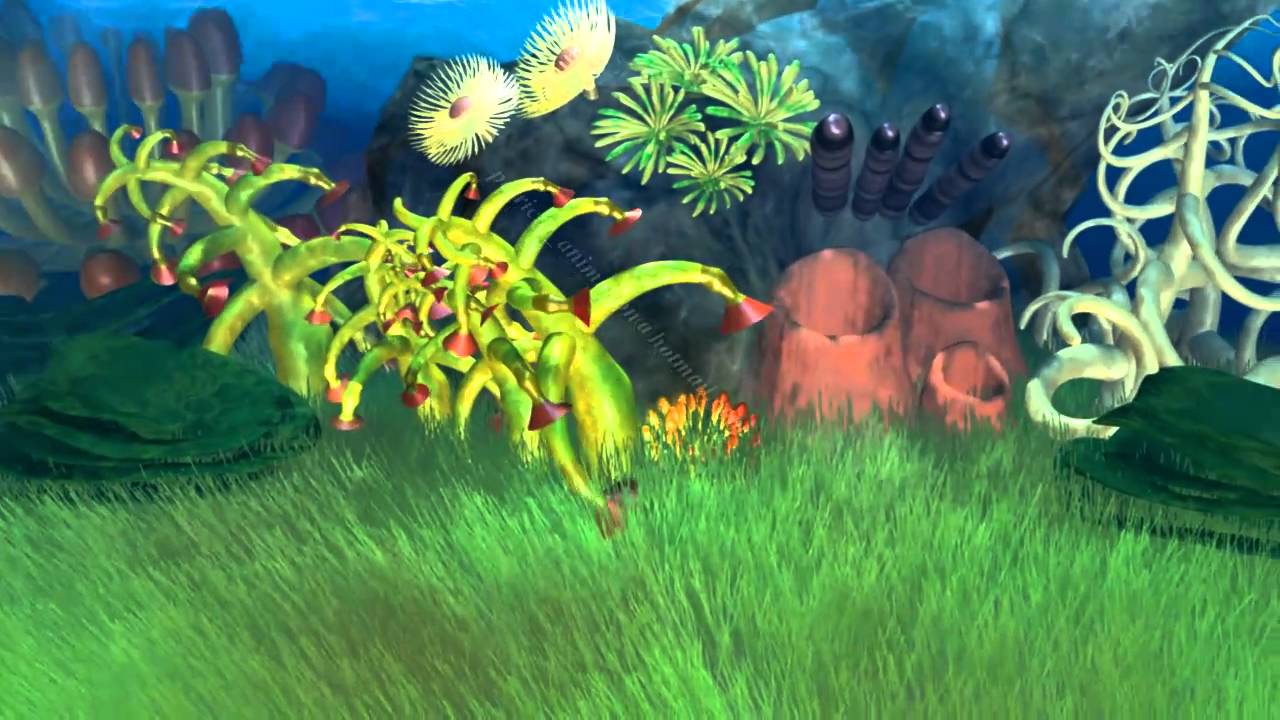 Underwater Paradise Underwater 3d Animation Youtube