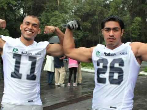 Mayates Y Chacales 3 Youtube